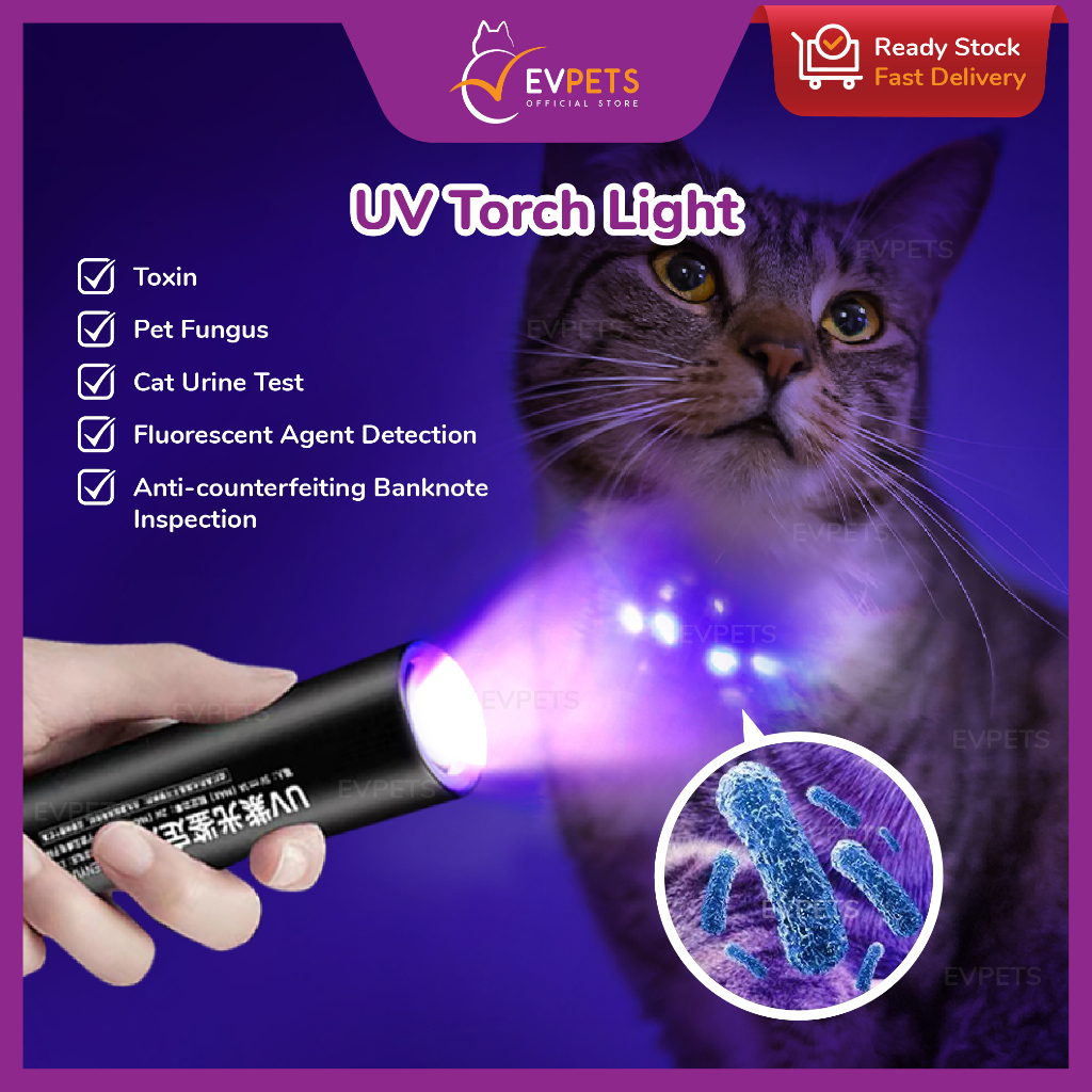 Pet UV Touch Light UV Flashlight Ultraviolet Light check Fungus Pet Urine Ringworm Fungal ...