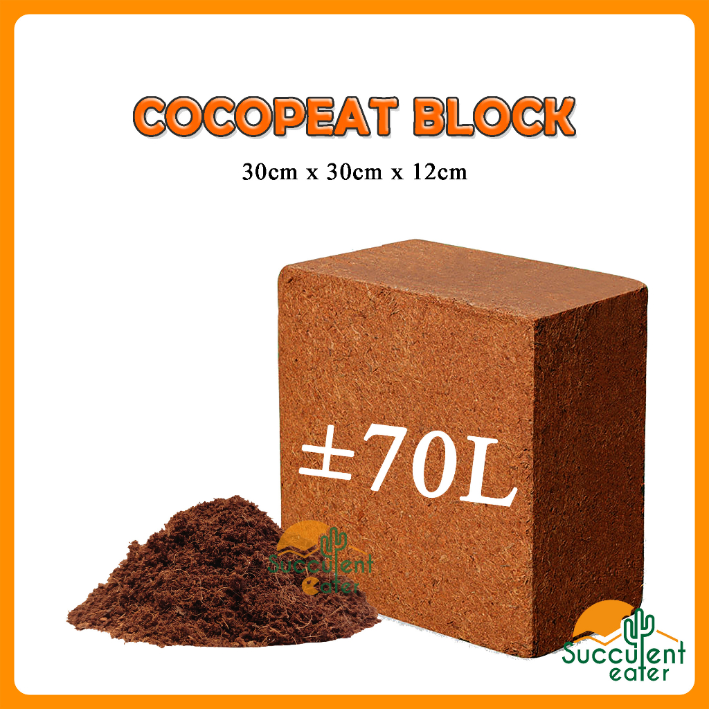 CocoBlock Cocopeat Block Brick Compressed Form Coconut Gardening 椰糠椰砖 ...