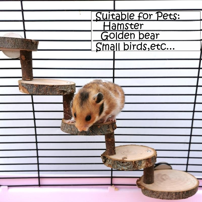 Wooden Hamster Ladder Natural Apple Wood Pet Ladder Hamster Climbing ...