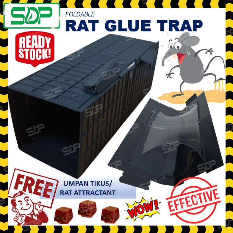 PVC Rat Glue Trap/ Gam Tikus/ Berkesan!! Effective!! Rat Sticker/ Rat ...