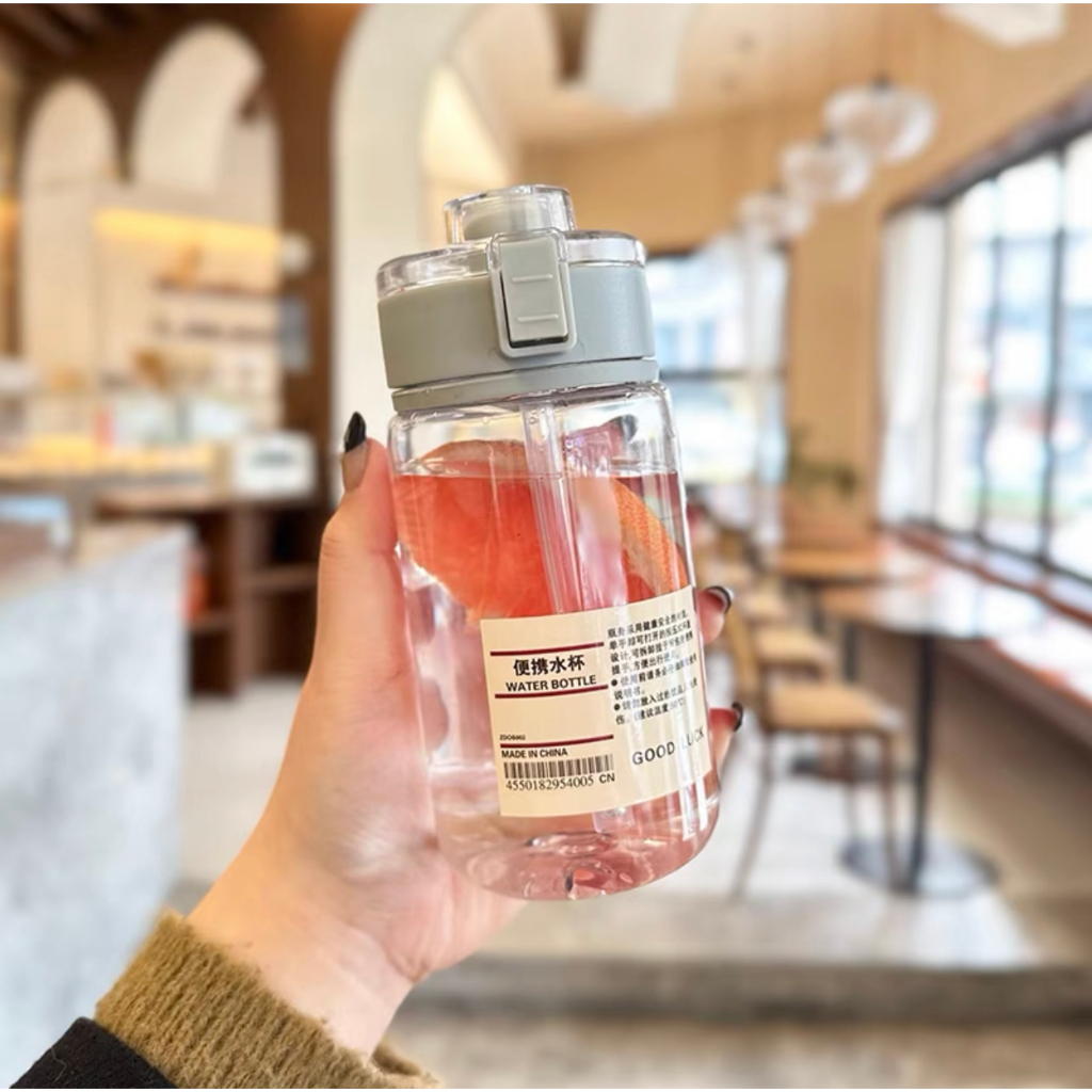 Ocean_MUJI Japanese Style Simple Water Bottle With Tea Filter 350/550 ...