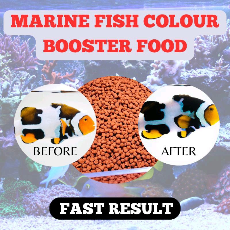 🔥TRX MARIN COLOUR BOOSTER FORMULA PALLET🔥SINKING FISH FOOD REEF DR ...