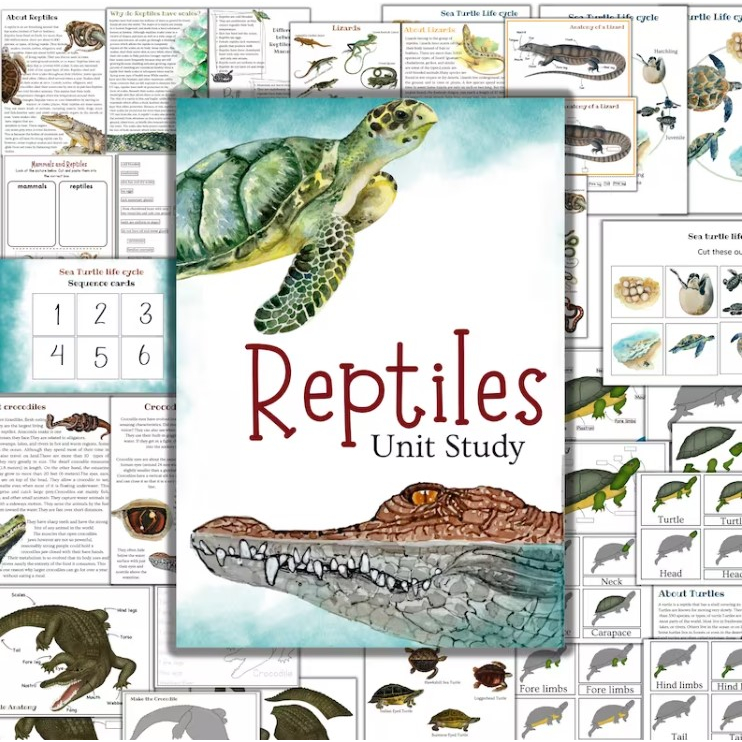 PDF] Reptiles Unit Study 70 pgs Preschool Busy Quiet Book Kids Activity ...