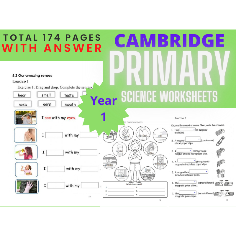 Cambridge Primary Science Worksheet Year 1 *PDF | Shopee Malaysia