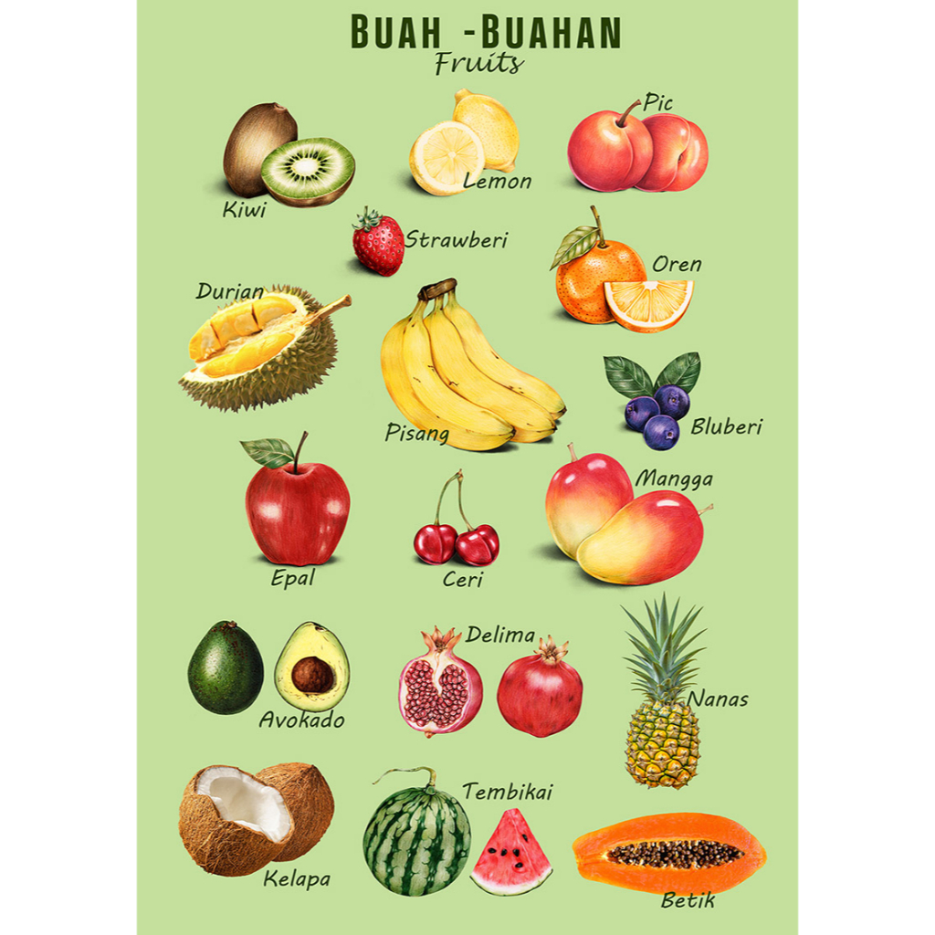 (A3 SIZE) POSTER BUAH-BUAHAN SAYUR-SAYURAN | Shopee Malaysia