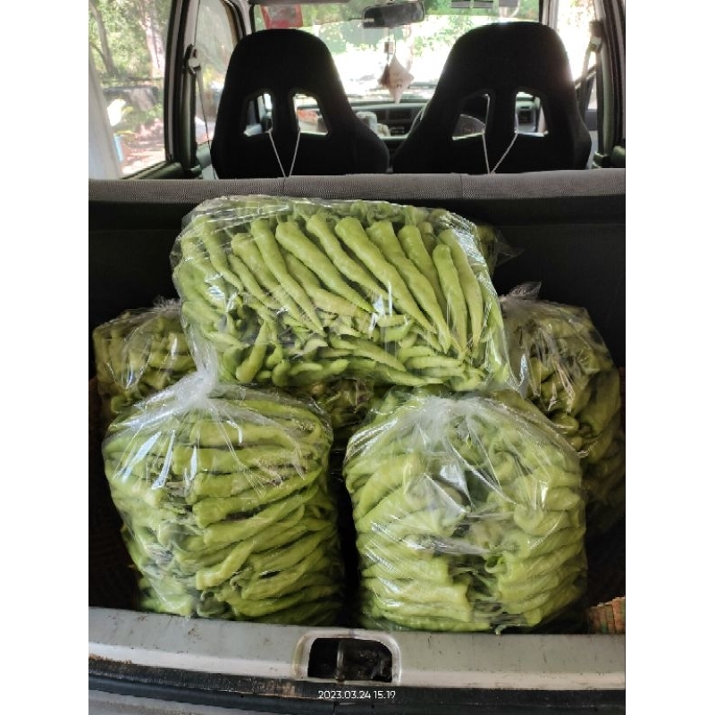 Lada solok Kelantan {1kg} / lada solok/ cili hijau / Cili merah / lada ...