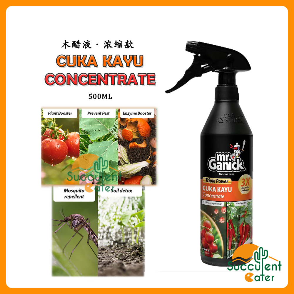 Baba Cuka Kayu Concentrate Mr Ganick 500ml Premium Wood Vinegar Anti ...