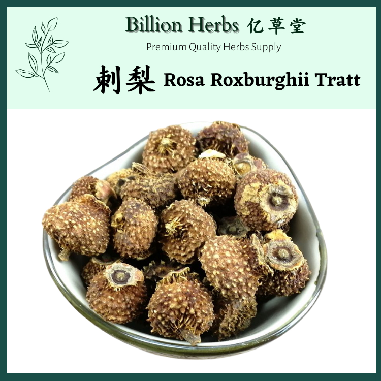 亿草堂 Billion Herbs 刺梨 100g Rosa Roxburghii Tratt / 中药材 Chinese Herbs ...