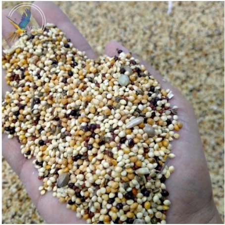 SEKOI CAMPUR // MIX MILLET REPACKED 1KG | Shopee Malaysia