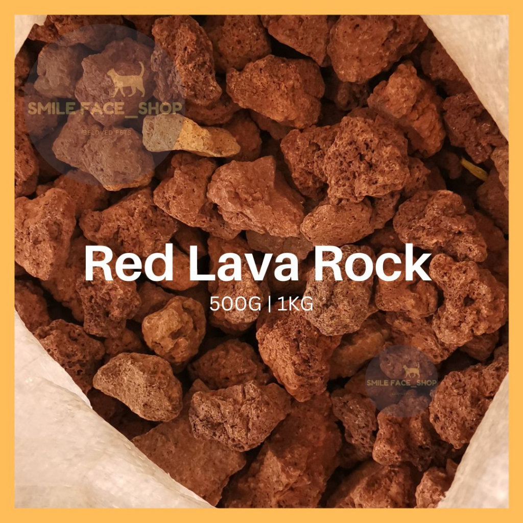 Red Lava Rock Volcanic stone/Pasir Malang/Bio Filter Media 火山石 | Shopee ...