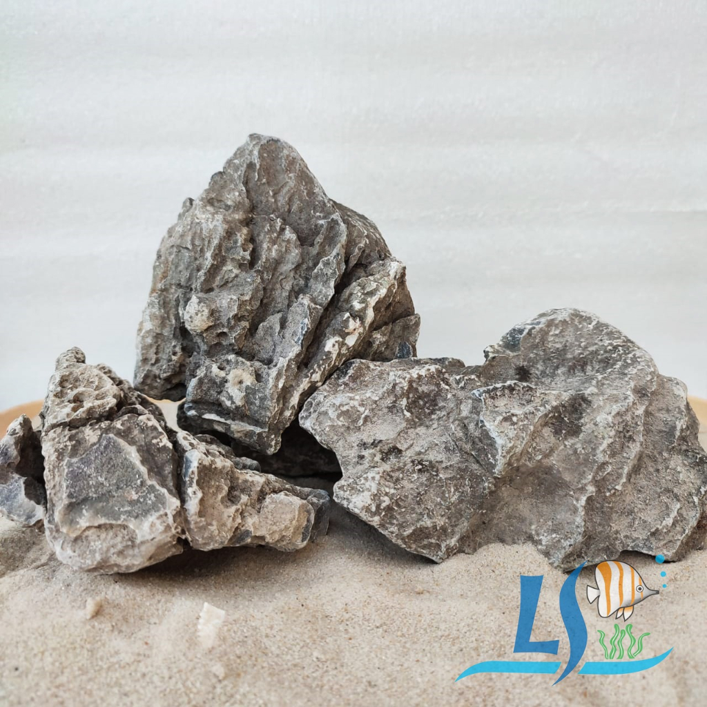 Seiryu Ryuoh Rock 青龙石 1kg stone aquarium fish tank aquascaping deco by LS Aquatic | Shopee Malaysia