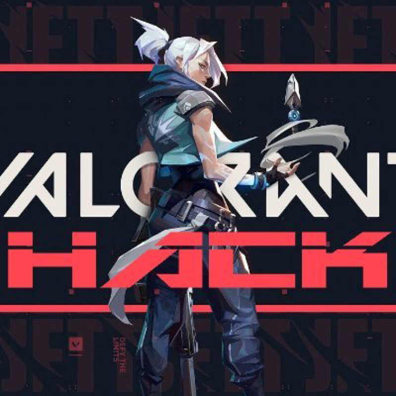 🔥🔥Valorant Cheapest & Undetected Aimbot (New&Private) PM for better price | Shopee Malaysia