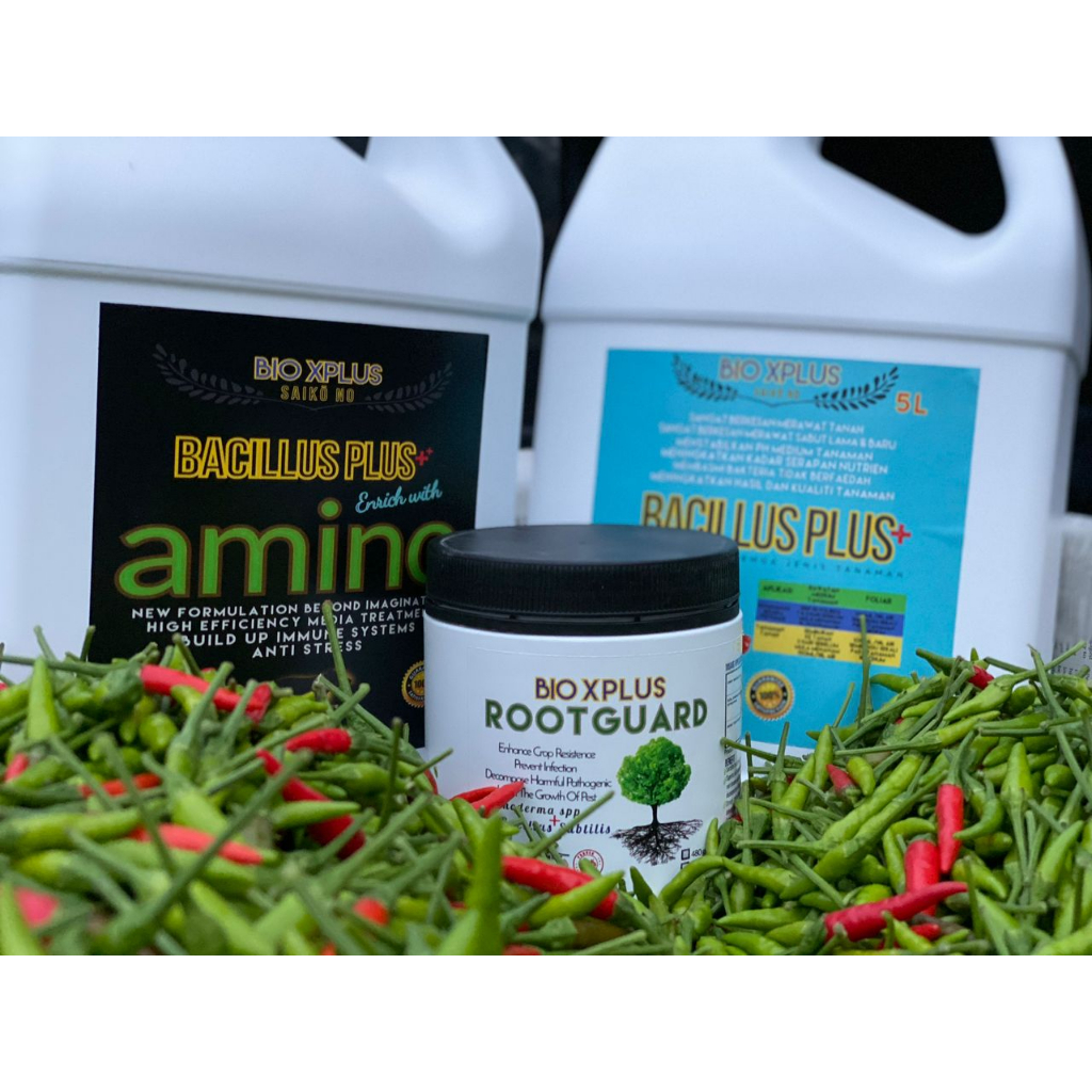 Bacillus Plus+ Bacillus Plus+Amino | Shopee Malaysia