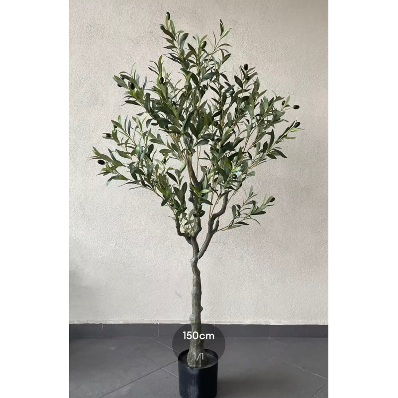 Pokok Viral-artificial Premium Olive Tree & Eucalyptus Tree PLANT ...