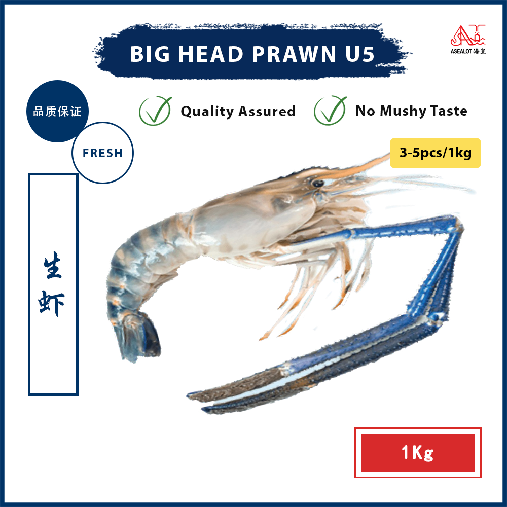 Big Head River Shrimp U5 | Udang Galah U5 | 生虾 U5 (1Kg = 3-5pcs ...