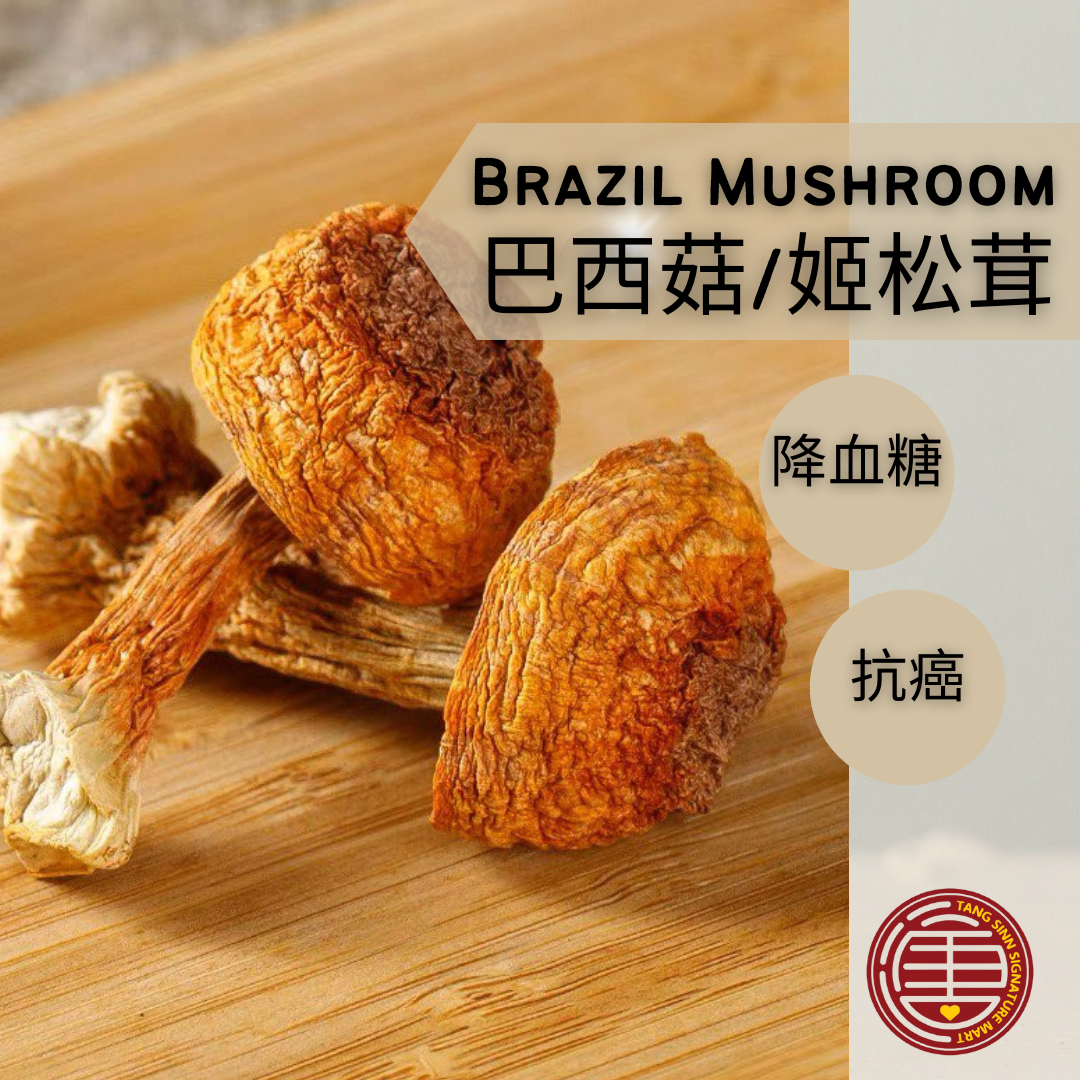 Agaricus Blazei Mushroom | Brazil Mushroom 精选姬松茸 | 巴西蘑菇 [100G] | Shopee ...
