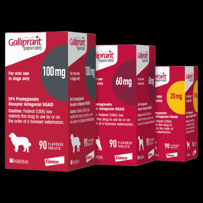 Galliprant Dog 20mg/ 60mg (30 Tablets) | Shopee Malaysia