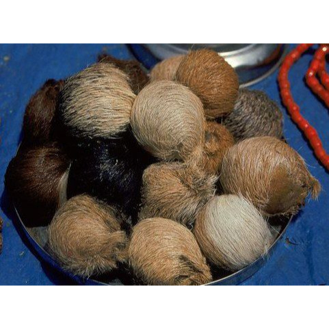 (KETUAT KIJANG) KETUAT READY STOCK BARANG RARE KETUAT ASLI MURAH BUNTAT ...