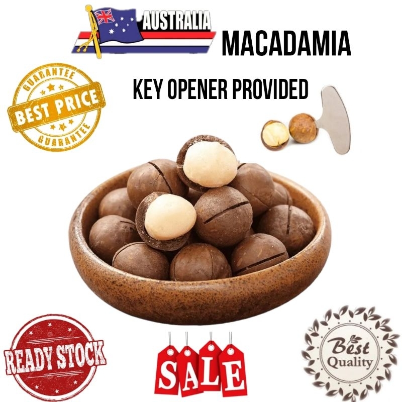Australian Roasted Macadamia Nuts With Shell 250gm/500gm/1000gm.1kg ...
