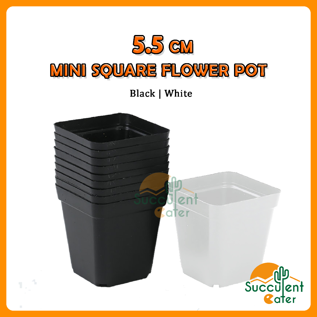 5.5cm Mini Plastic Flower Pot Succulent Cactus Pasu Plastik 迷你四方盆 ...