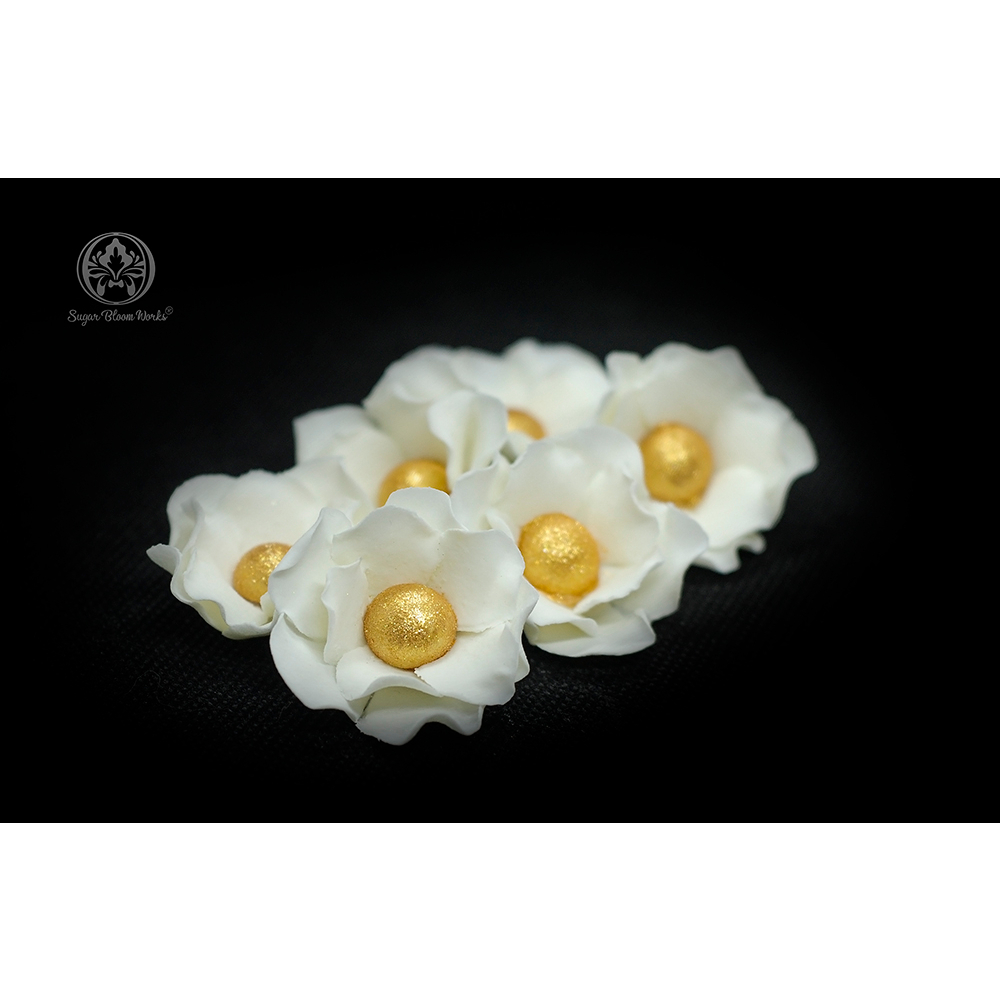 A Gumpaste Sugarflower Whimsical Series 2 READY STOCK 6 PCS / Bunga Kek ...
