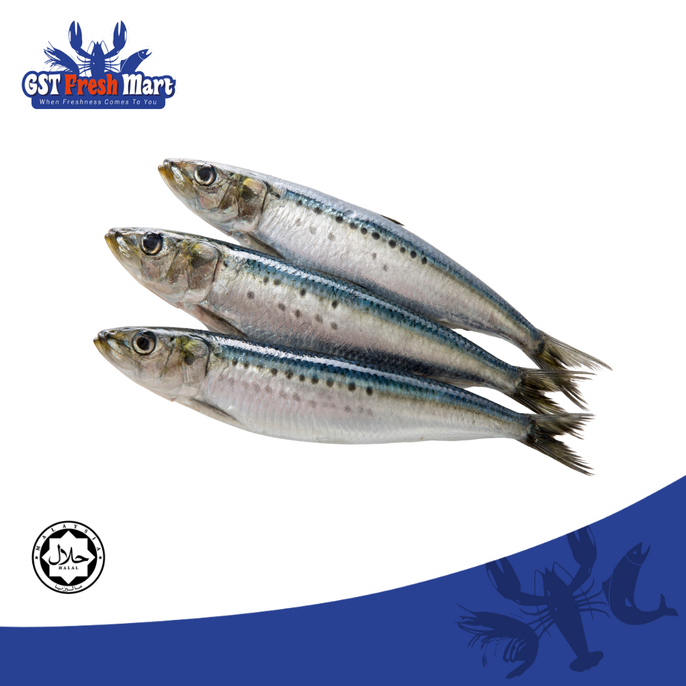 FROZEN IKAN SARDIN (8-10 NOS) UNCLEANED 1KG/PKT 冷冻沙丁鱼 - GST FRESH MART ...