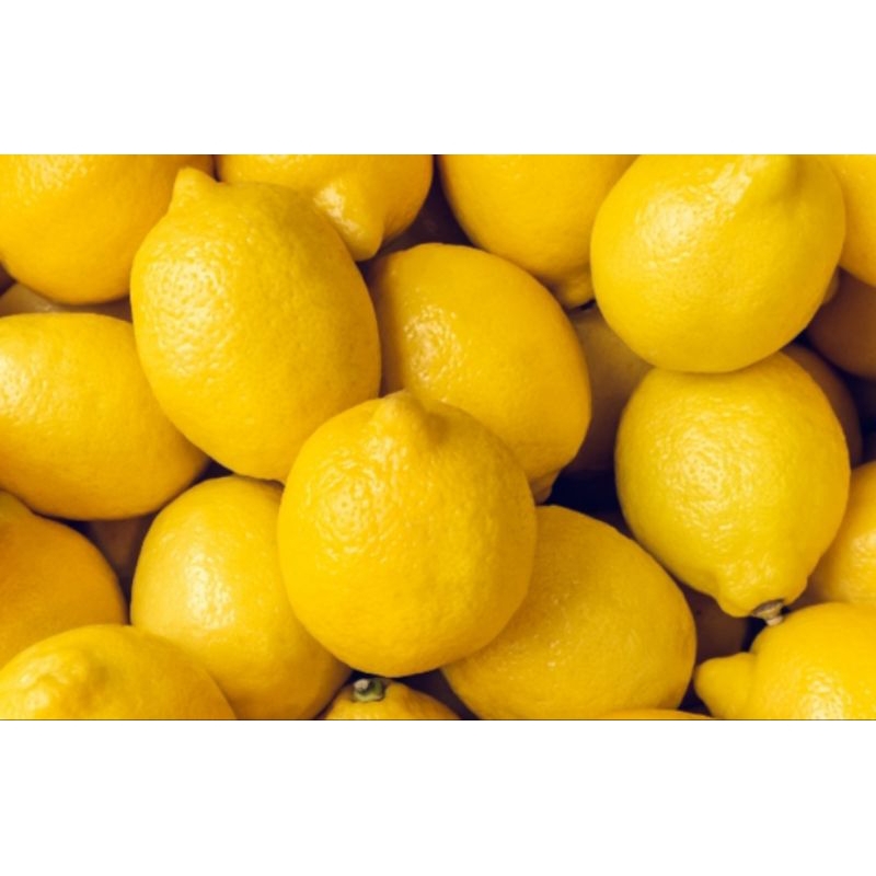 fresh lemon - Prices and Promotions - Jun 2026 | Shopee Malaysia
