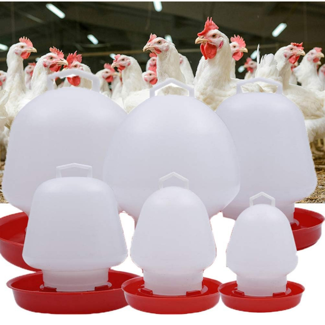 Round Bubble Chicken Drinking Fountain Device Hanging Cup Waterer Bowl ...