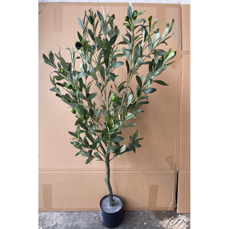 Pokok viral PREMIUM skybird,BAMBOO palm tree,monstera,Artificial ...