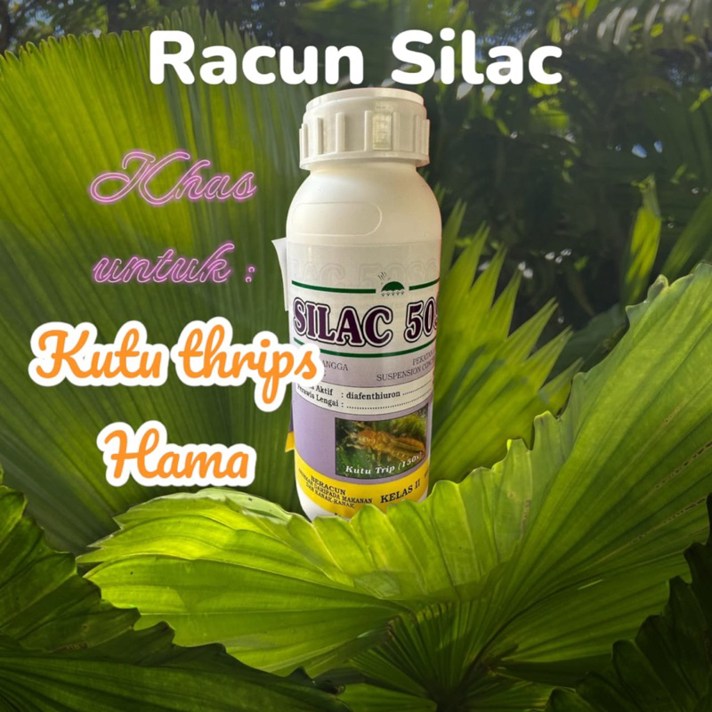 Racun Silac 50SC , Repack Silac 50SC , Penghapus Kutu Trips (15ml ...