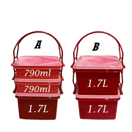 Tupperware: Tiffin Delight Set / Double Deep Set Box With Cariolier ...