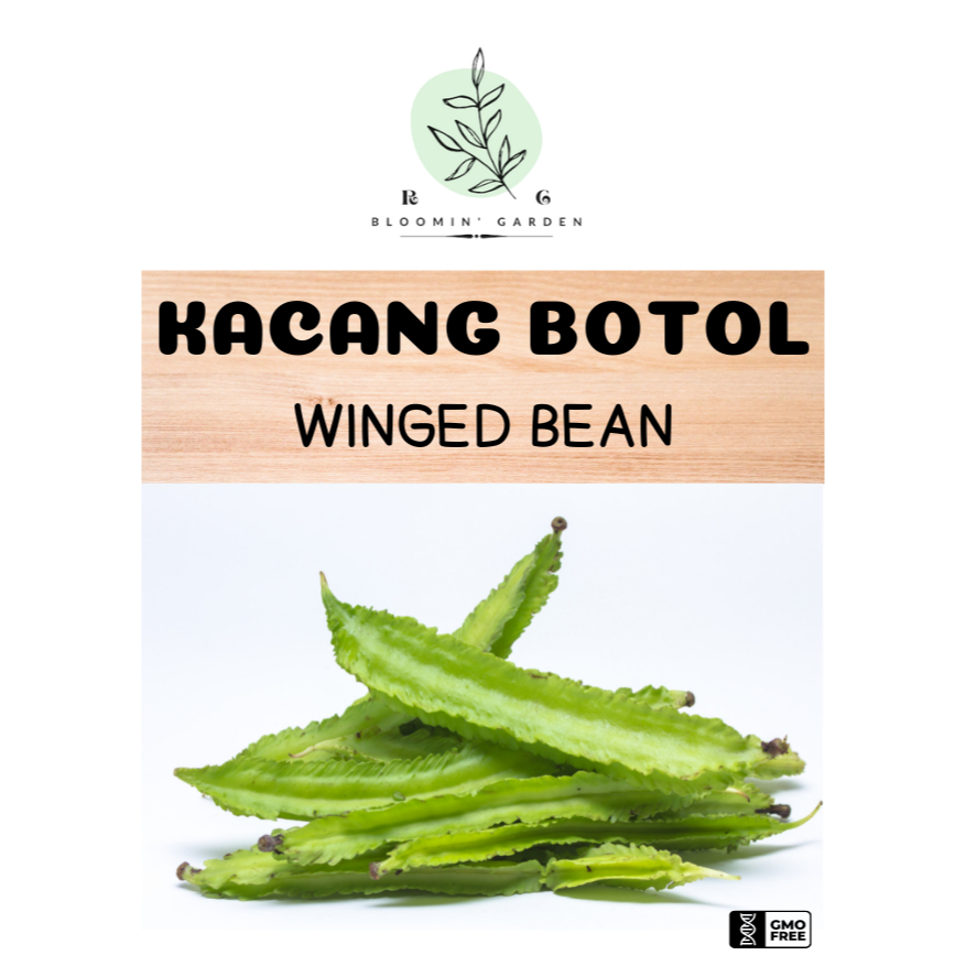 Plant Seeds Home Gardening Seeds Vegetable Seed Fruit Seed Biji Benih ...