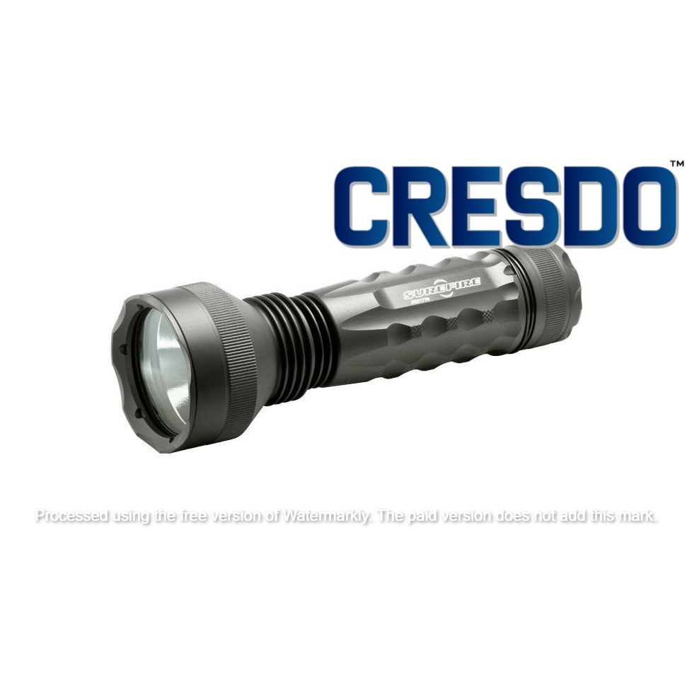 Surefire M6LT-B Guardian 1200 Lumens Single-Output LED Flashlight ...