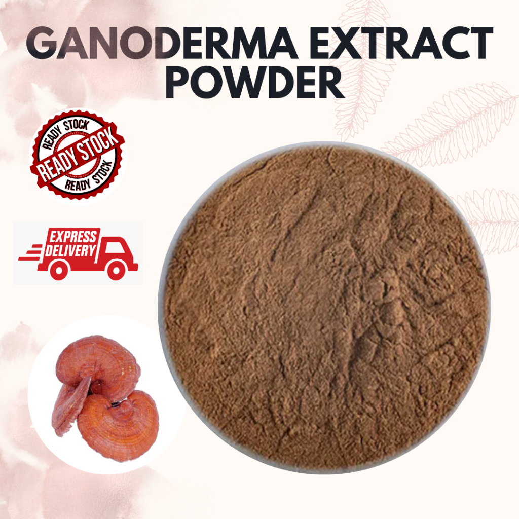 Ganoderma Extract Powder I 灵芝提取物 I Lingzhi Powder Extract - 10g ...