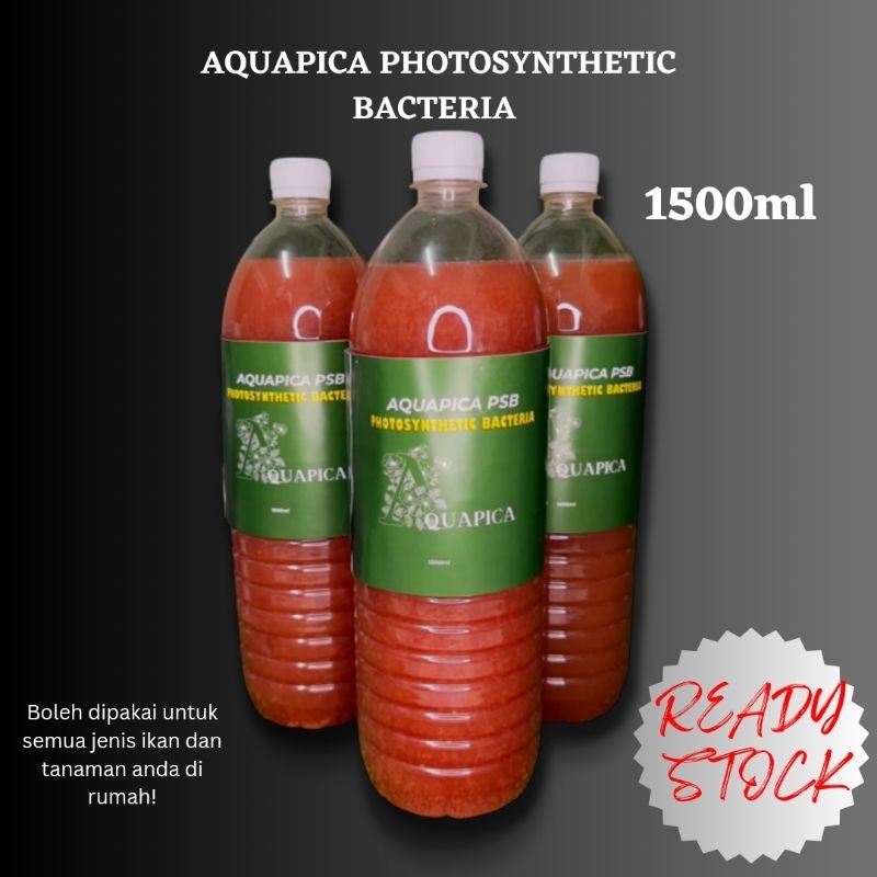 PSB - Aquapica Photosynthetic Becteria For Fresh/Salt Water & Gardening (1500ml) | Shopee Malaysia