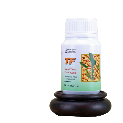 Kotak TF Plus Apricot seed | Shopee Malaysia