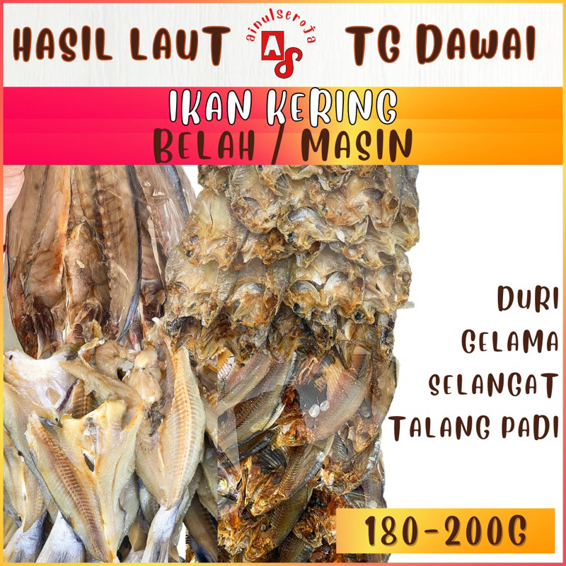 Ikan Kering Tanjung Dawai Gelama Belah / Selangat Belah / Duri Masin ...