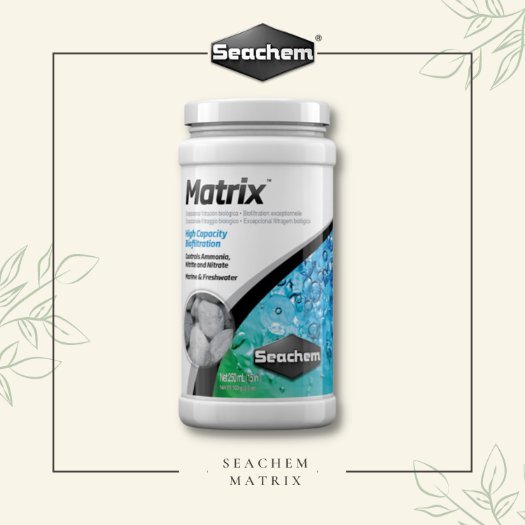 Seachem Matrix 70g/250mL/1L (Biomedia) (Aquascape/Aquarium/Planted Tank ...