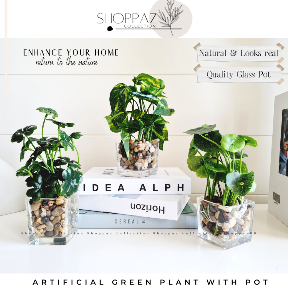 Shoppaz Artificial Plant Fake Plant With Pot Money Plant Artificial ...