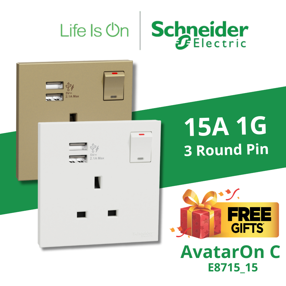 Schneider Electric AvatarOn C 1 Gang Switch Socket (13A) + Two USB Port ...