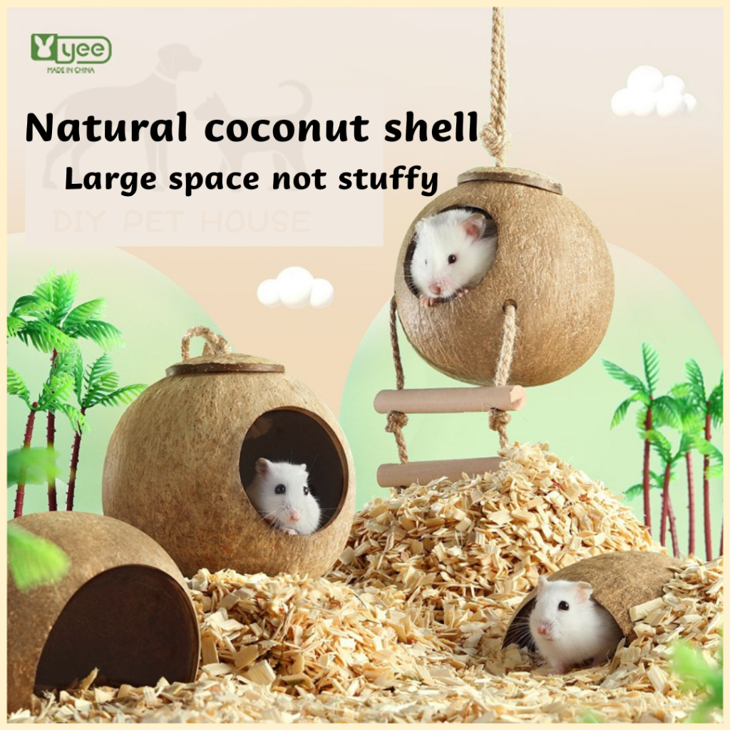 Natural Coconut Shell Sugar Glider Hamster Bird Nest Ladder Toy House ...