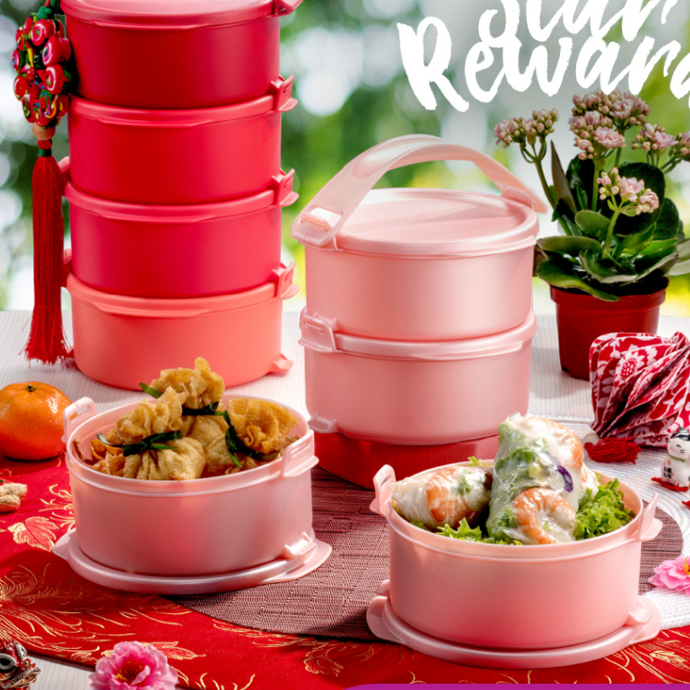 Tupperware Tup Tiffin Duo Set 550ML Tup Triffin Lunch Box 1 Handle ...