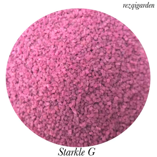 starkle g - Prices and Promotions - Nov 2024 | Shopee Malaysia