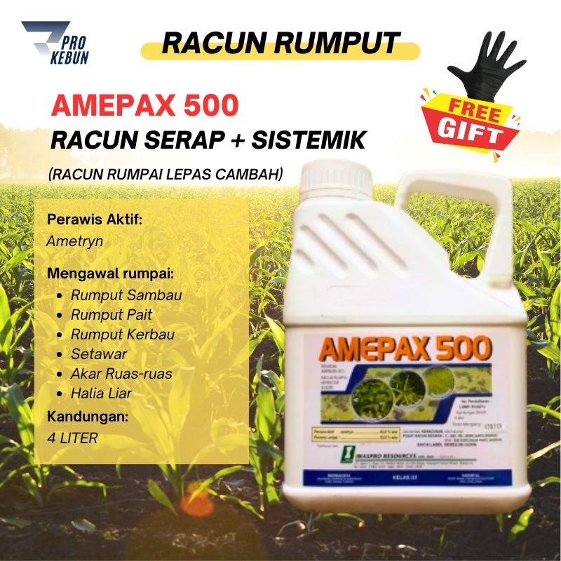 Amepax 500 4 Liter Racun Susu Racun Rumput Sambau Racun Ametryn Racun ...