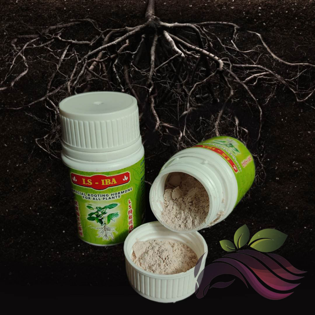 Special Rooting Hormone, Hormon Pengalak Akar (Forest - IBA) by LS Group | Shopee Malaysia