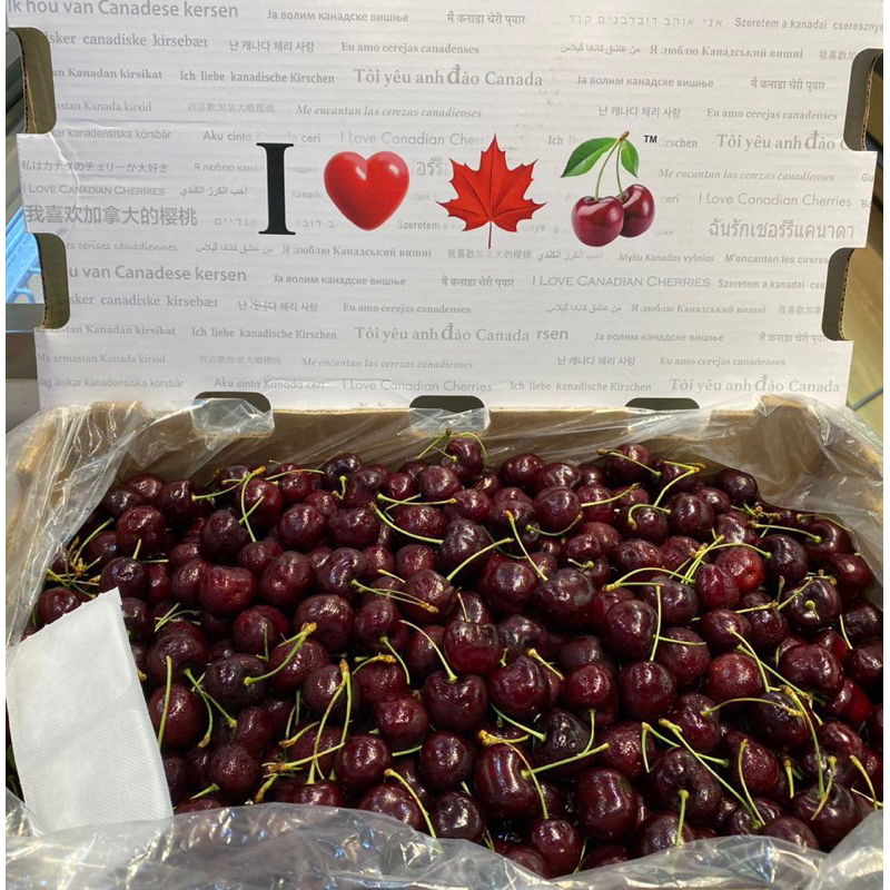 Very Sweet USA Cherry (8.5Row/>=30mm)/Canada Cherry (8.0Row) (comes ...