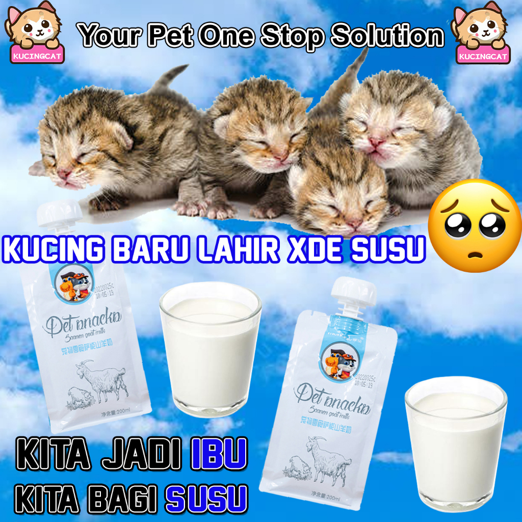 KUCINGCAT Susu Kambing untuk Baby Anak Kucing Baru Lahir 1 Bulan Puting ...