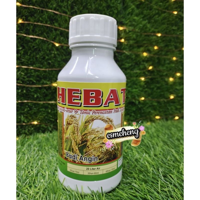 Hebat / Padi angin / Cuma sesuai untuk kutip-kutip sahaja | Shopee Malaysia