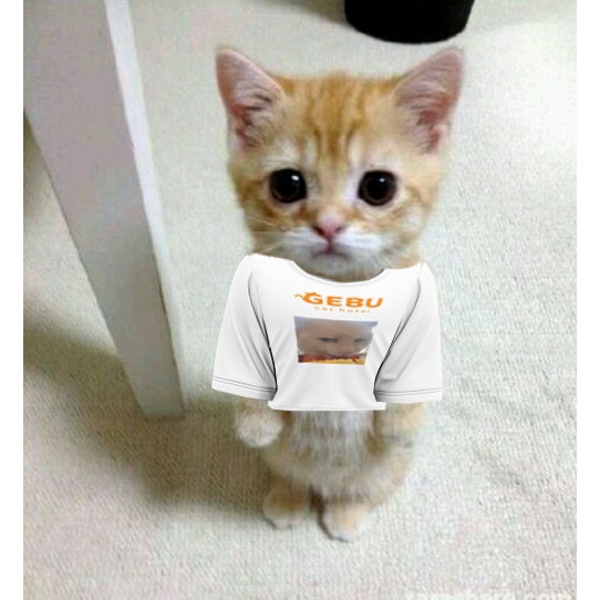 GEBU CAT HOTEL TSHIRT (CORN CAT) | Shopee Malaysia