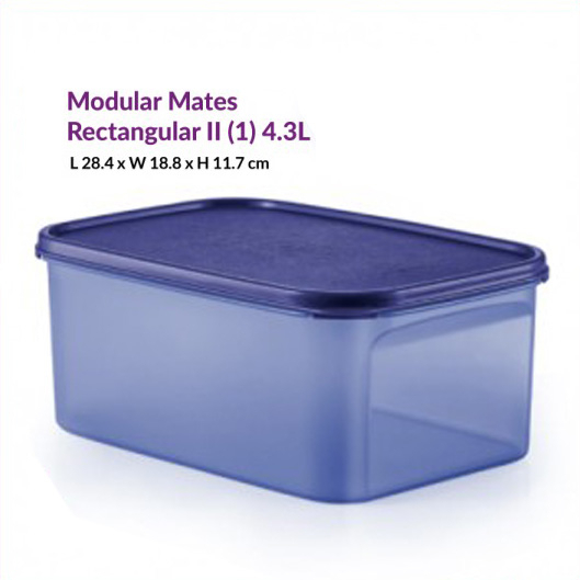 Tupperware Outdoor Cooler 8.7L / Water Wonder All 10L (Pink / Blue ...